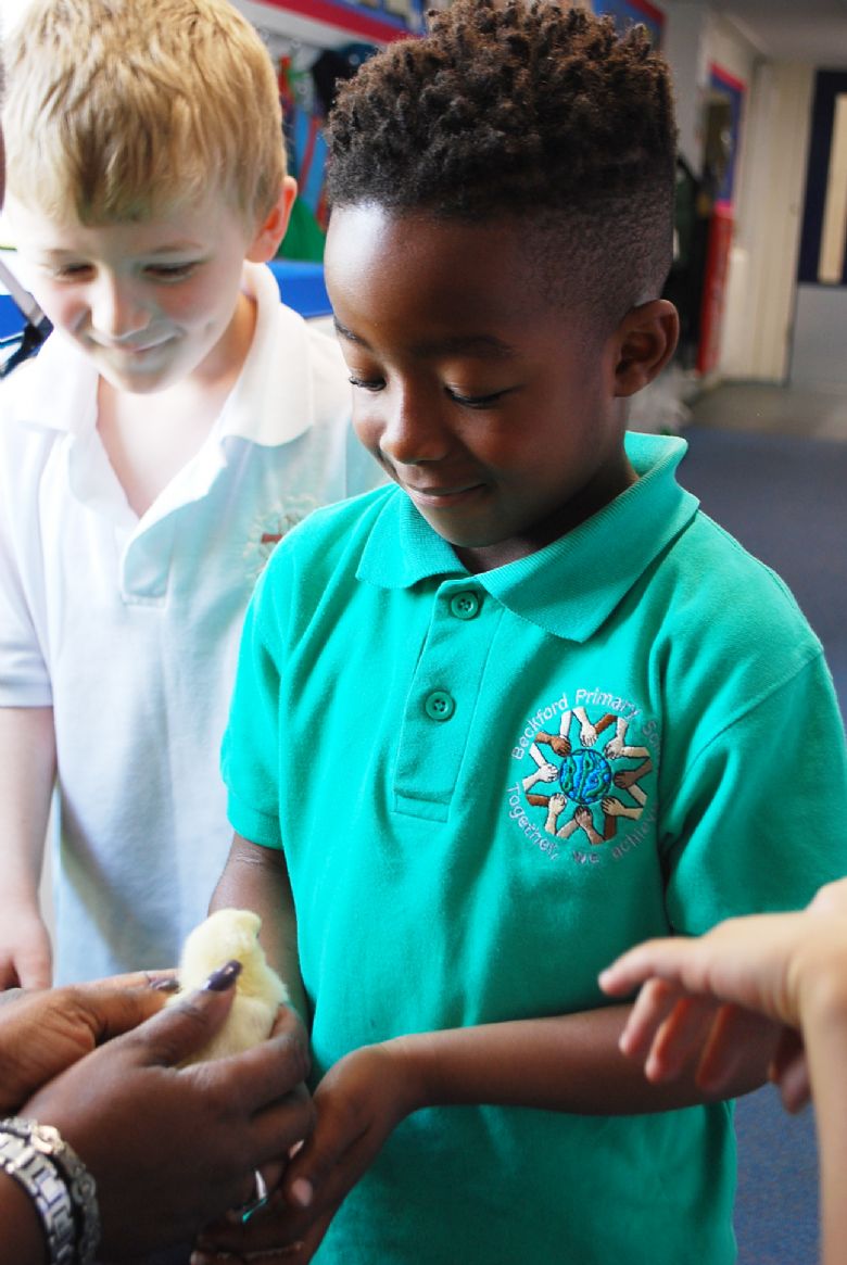 Beckford Primary School - News & Events